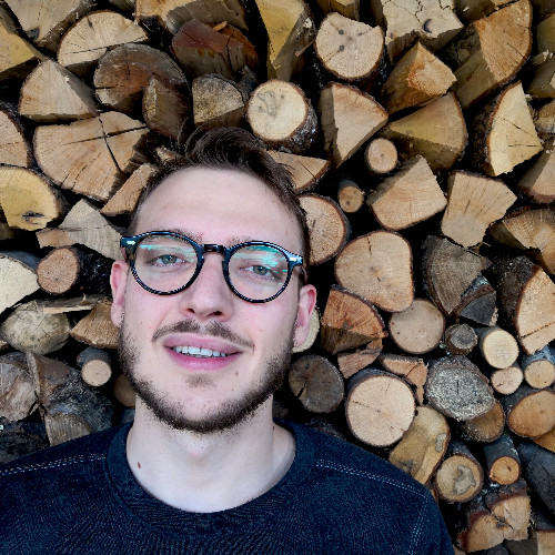 Francesco Ricceri, Autore di Informatore