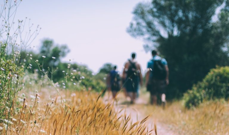 Camminare insieme| informatorecoopfi.it