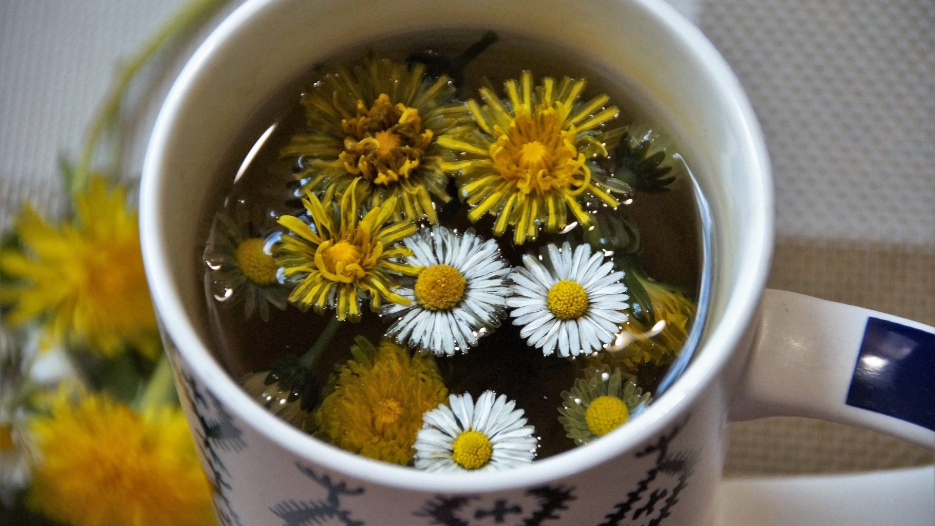 Corso sulle erbe spontanee primaverili - Informatore